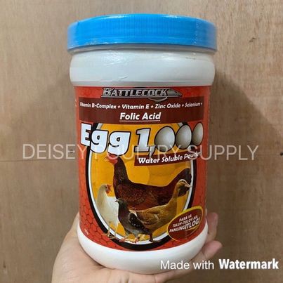Battlecock Egg 1000 for Egg production (1 KG) | Shopee Philippines
