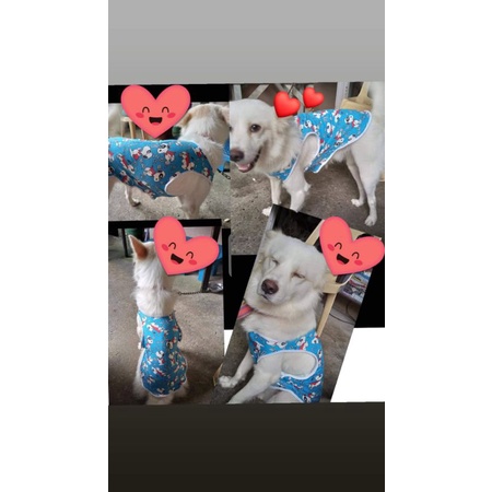 Dog Sando Clothes (All Sizes) | Shopee Philippines