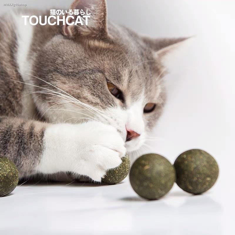 TOUCHCAT Natural Premium Catnip for Cats 6g | Shopee Philippines