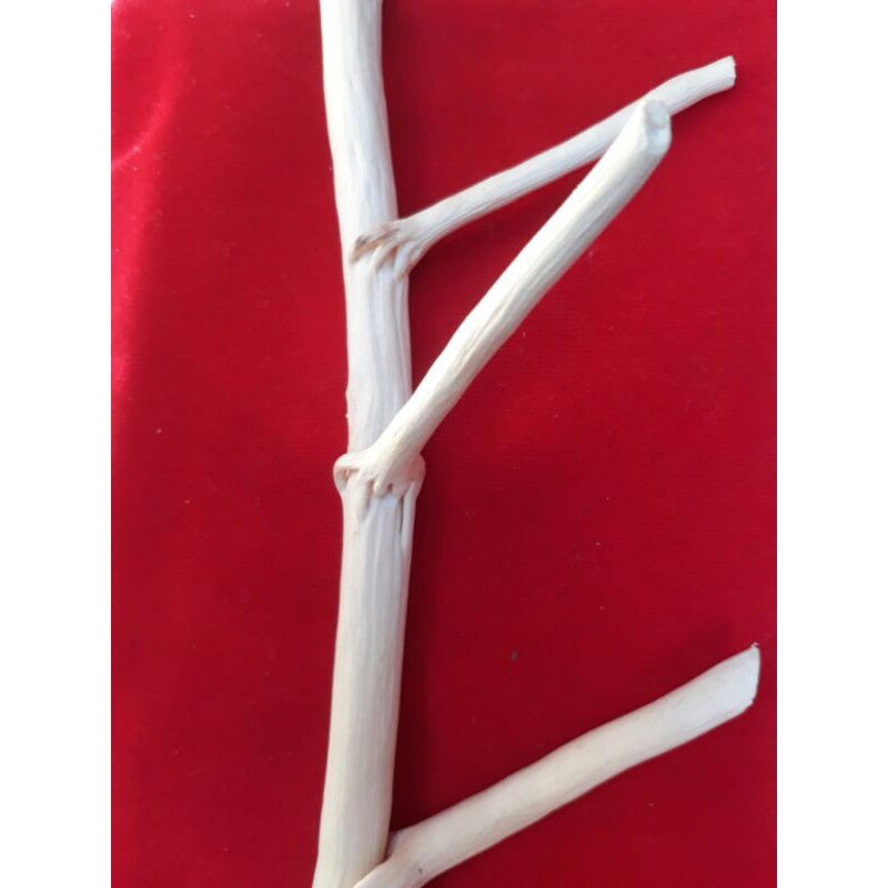 Kamay/Payapay/Tagupaypay-(panawag ng customer) | Shopee Philippines