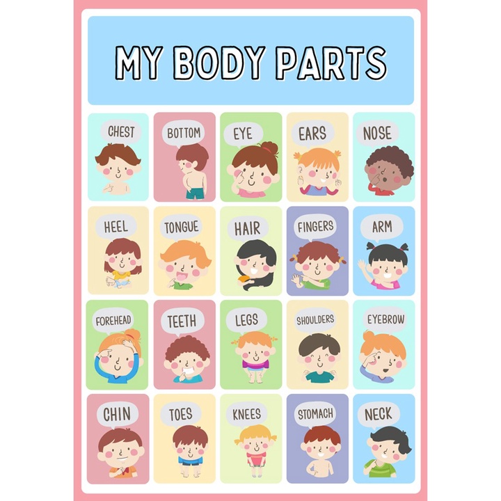 Five Body Senses Body Parts Science Educational Laminated Charts ... Five Body Senses Body Parts Science Educational Laminated Charts ...