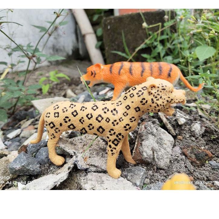 -6 Seeds Wild Animals Model Toy Rubber Material SNI | Shopee Philippines