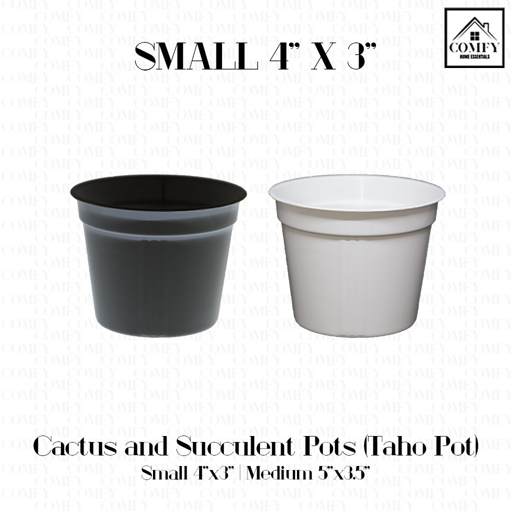 One Dozen (12pcs) Cactus and Succulent Flower Desk Pot, Cute Mini Taho ...