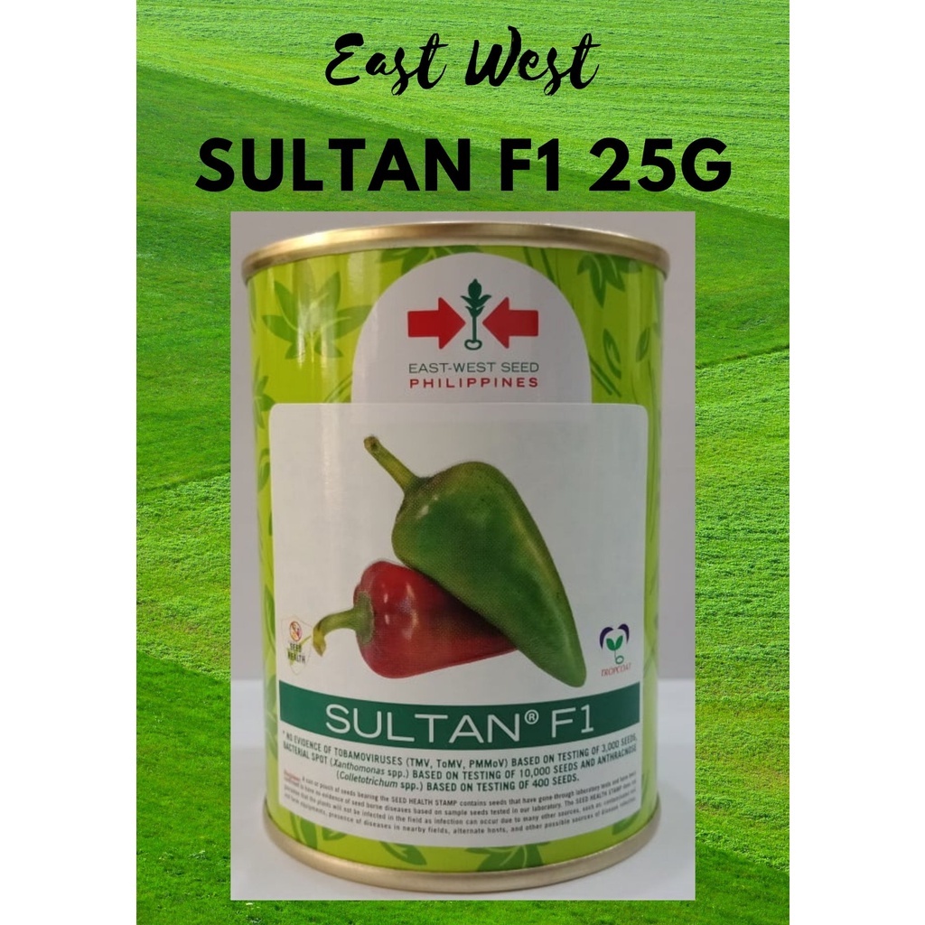 East West Seeds SULTAN F1 Bell Pepper 25g | Shopee Philippines