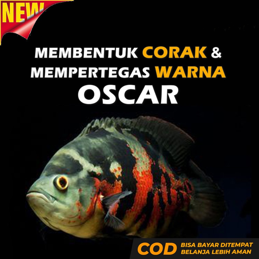 Oscar Fish Feed Oscar Food Pellets Oscar Premium Oscar Tiger Albino ...