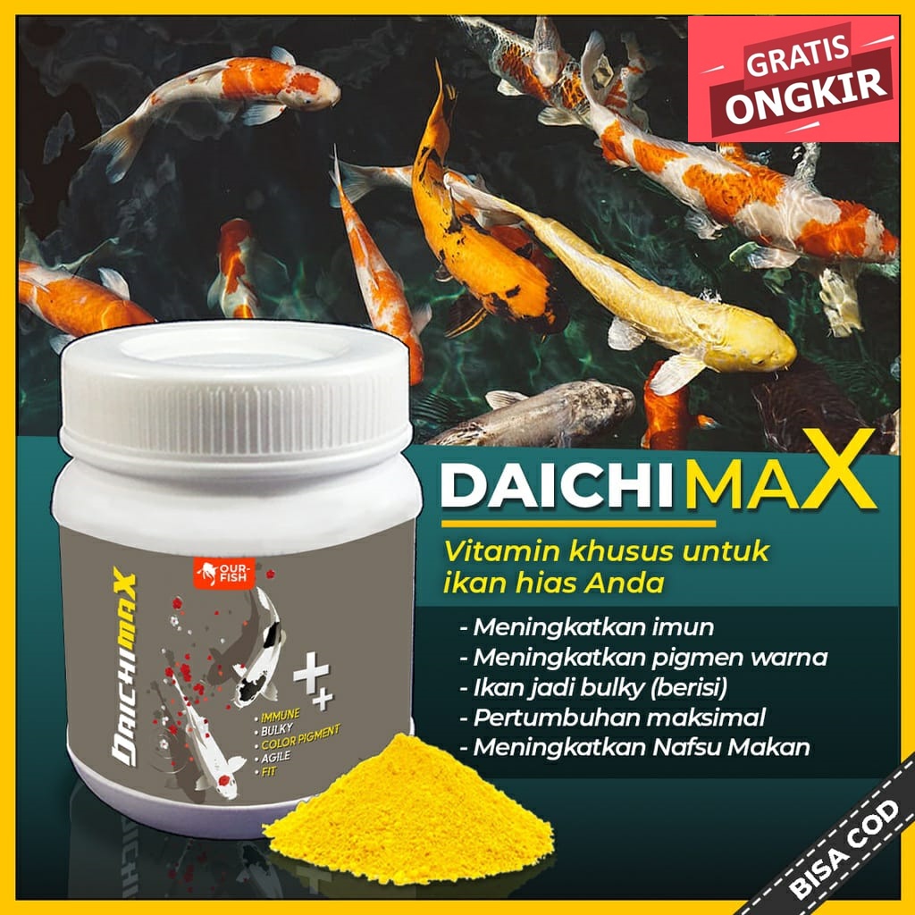 Vitamin Koi Fish DAICHI MAX Koi Kohaku Showa Platinum Slayer Import ...