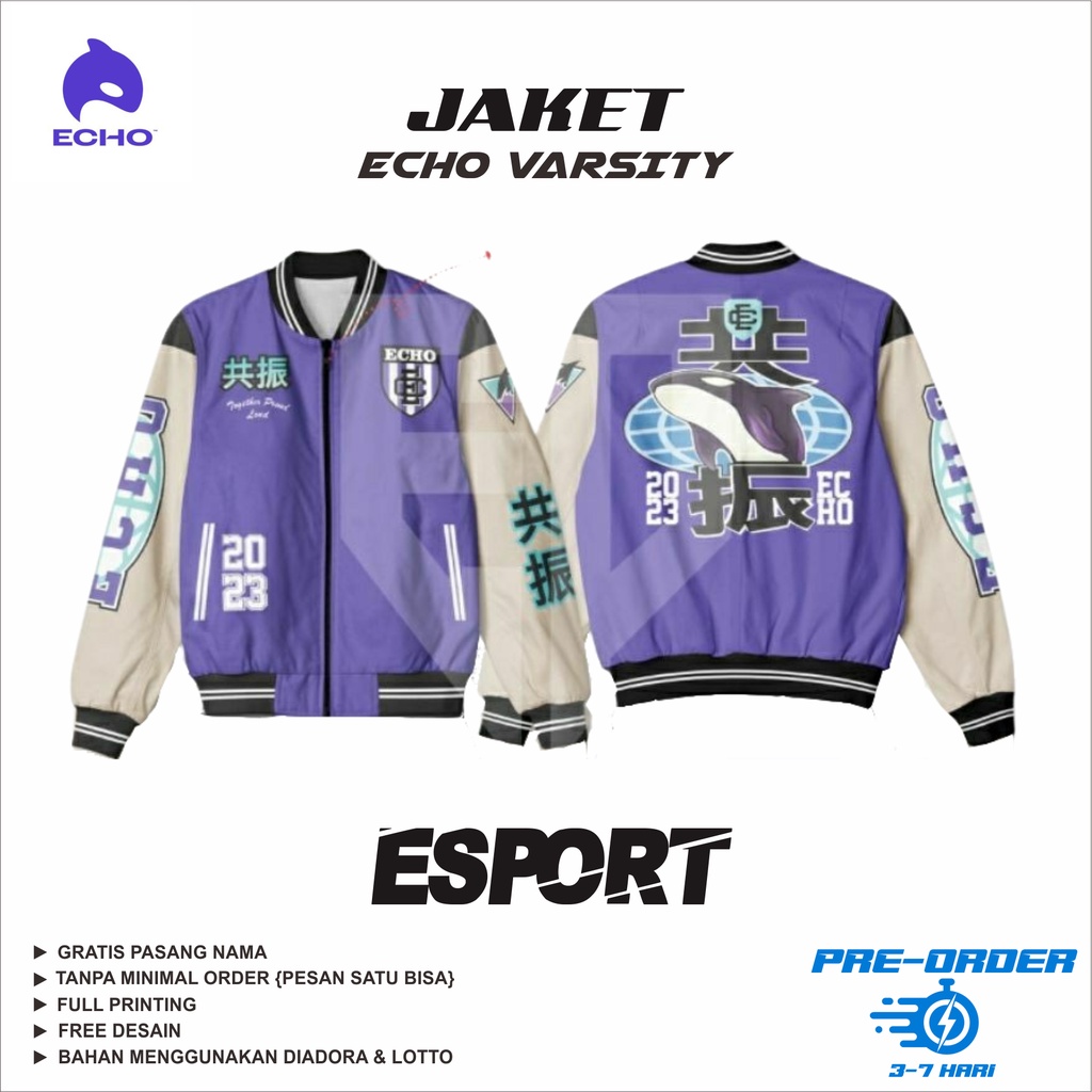 Newest ECHO ESPORT VARSITY M4 WORLD CHAMPIONS JACKET 2023 FREE CUSTOM ...