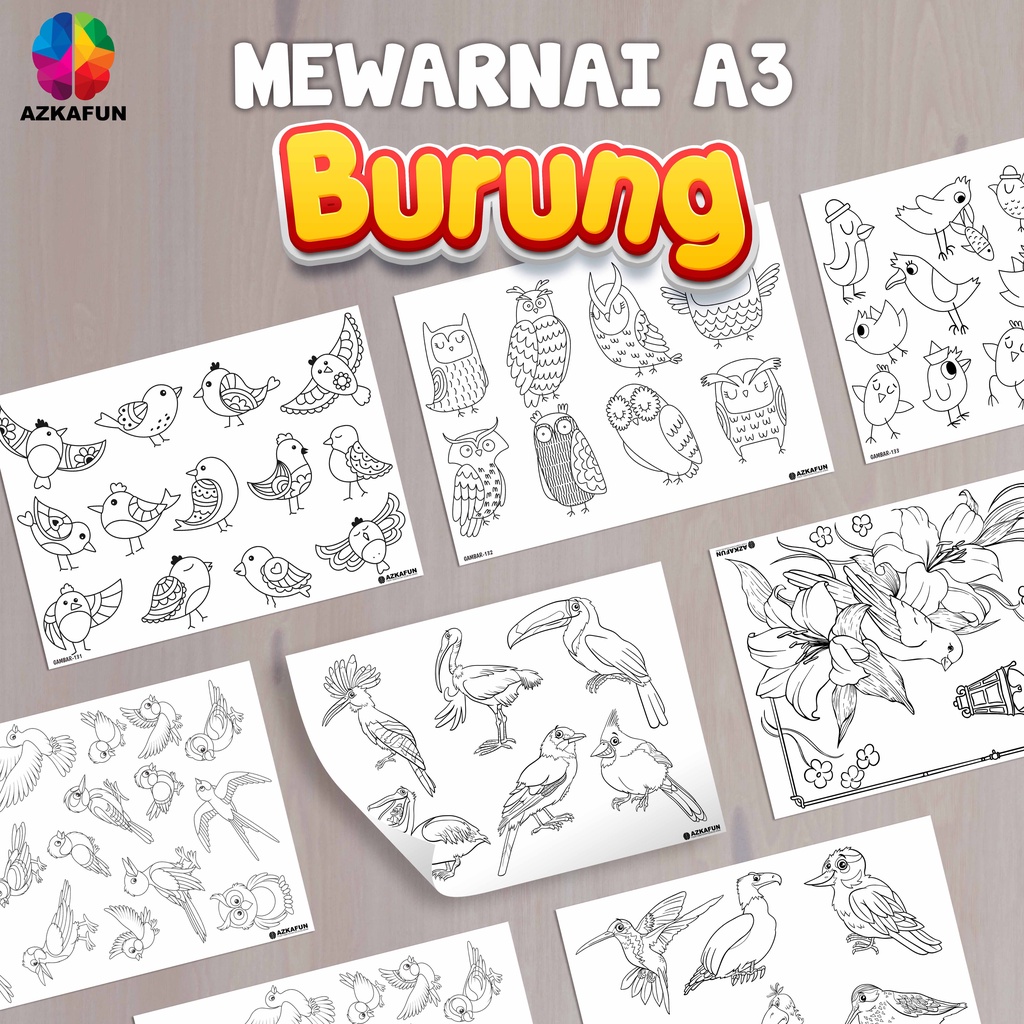 A3 bird coloring Paper - coloring animals in the air coloring birds ...