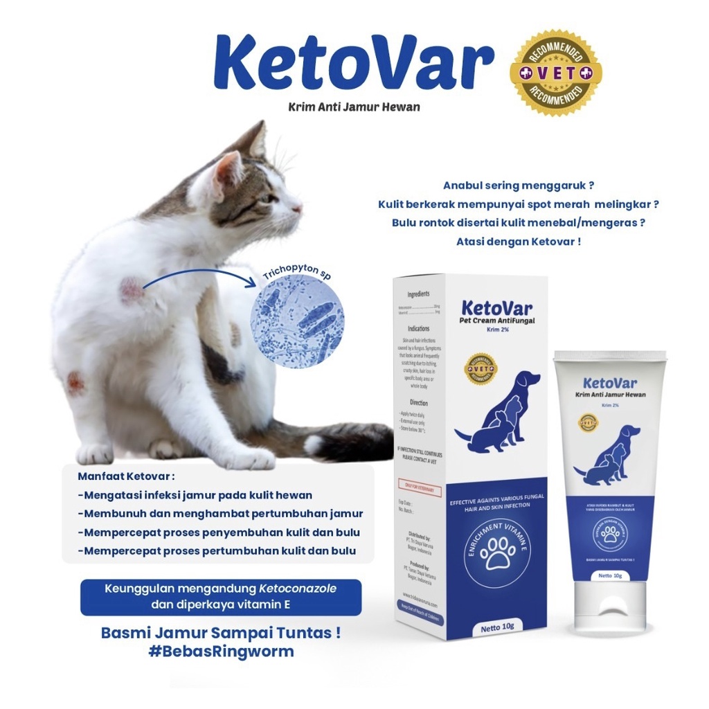 Ketovar - Anti Itching Cream Medicine Fungal Fur Skin Animal Cat Dog ...