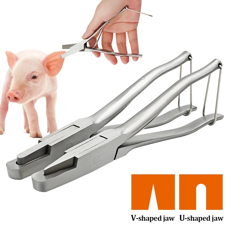 Pig Ear Scissors Model U and Model V Pig Ear Cutting Tool | Shopee ...