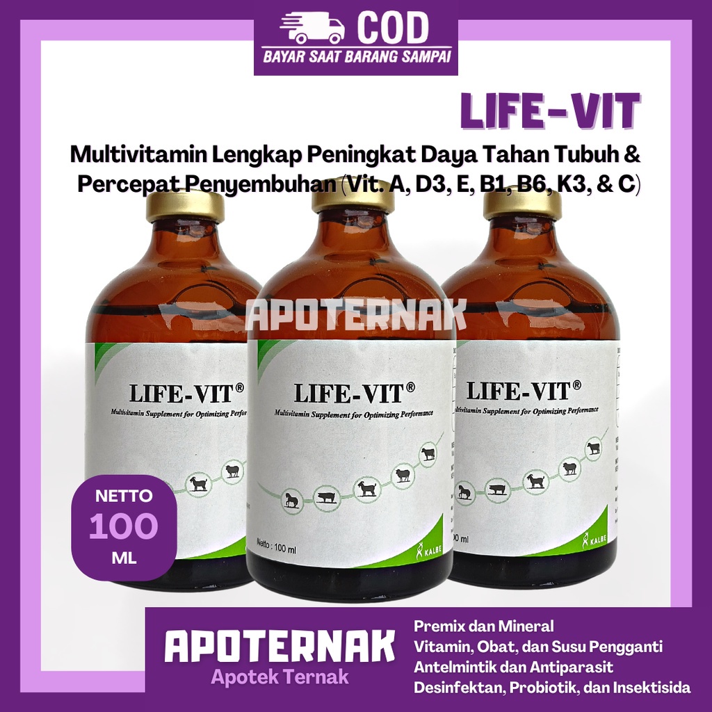 LIFE VIT 100 mL injection | Multivitamin to Increase Body Endurance and ...