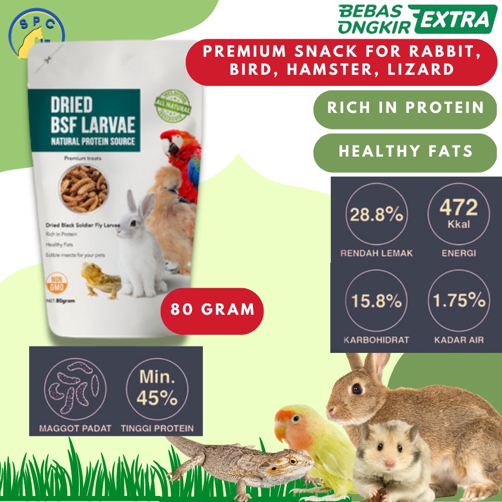 80 gram Dry Larvae For Rabbits Iguana Hamster dried maggot BSF Premium ...