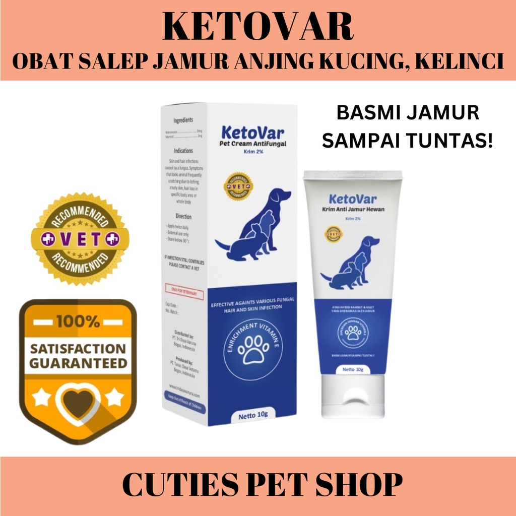 Ringworm ANTI-Fungal KETOVAR Cream Ointment 10 GR/Rabbit Cat Dog ...