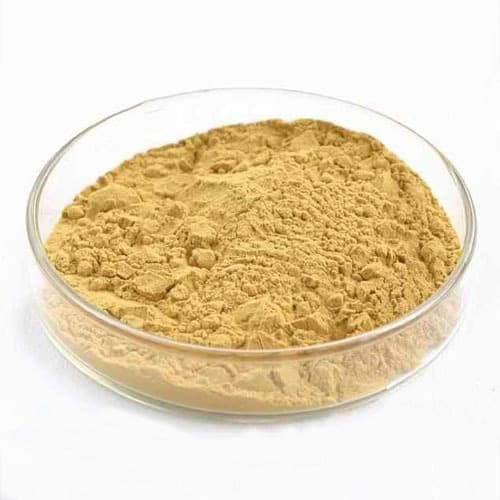 Pure Beef Extract powder 500g / Halal Beef Extract powder / Beef Stock ...