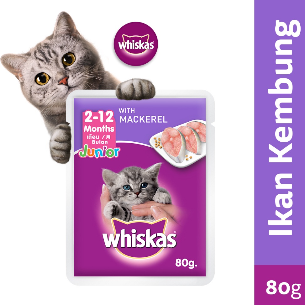 Friendly price|| WHISKAS Wet Cat Food Pouch Junior 80gr - Mackerel ...