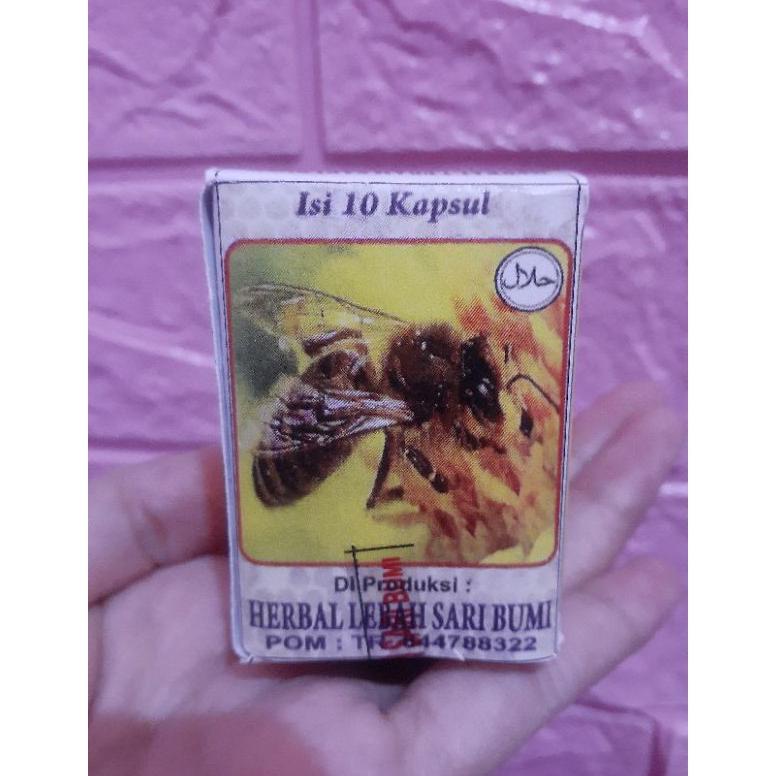 100% original herbal Recommend Of The Earth sari Bee (original ...