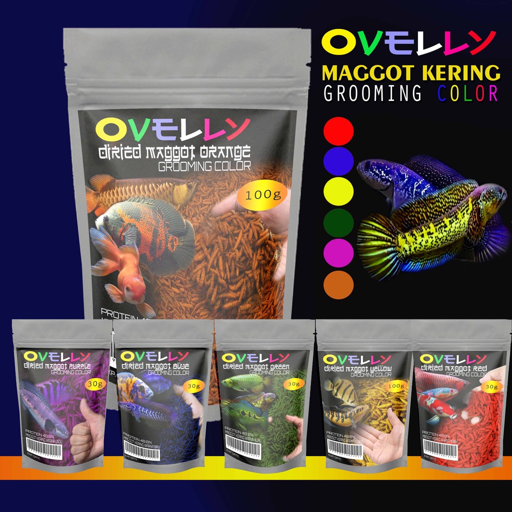 Channa Fish Feed From Dry maggot For grooming Color According To Fish ...