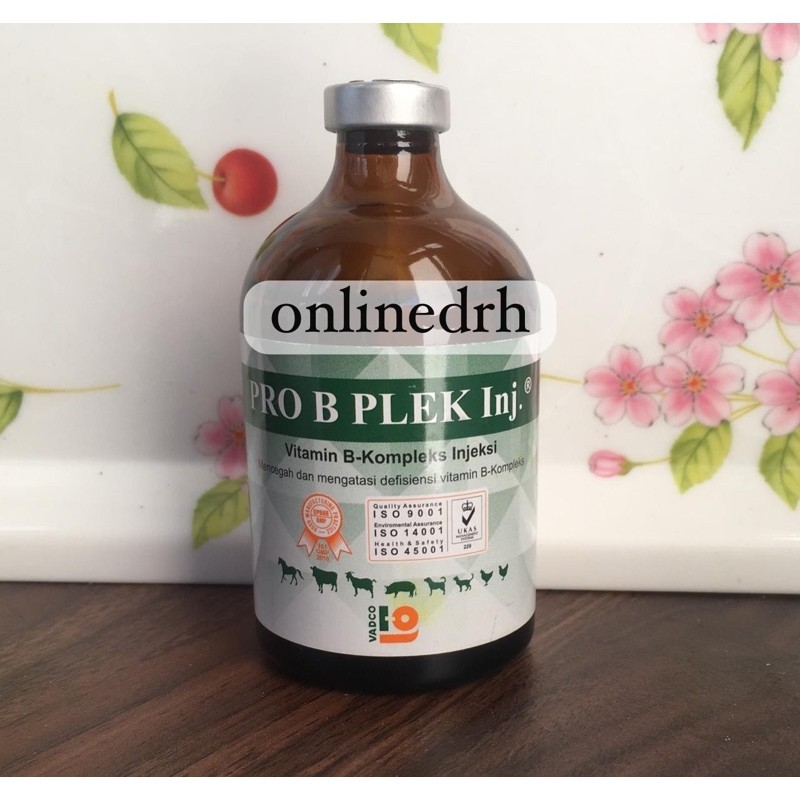 Vitamin PRO B PLEK INJ 100ml - Vitamin B Complex Animal Cow Goat Sheep ...
