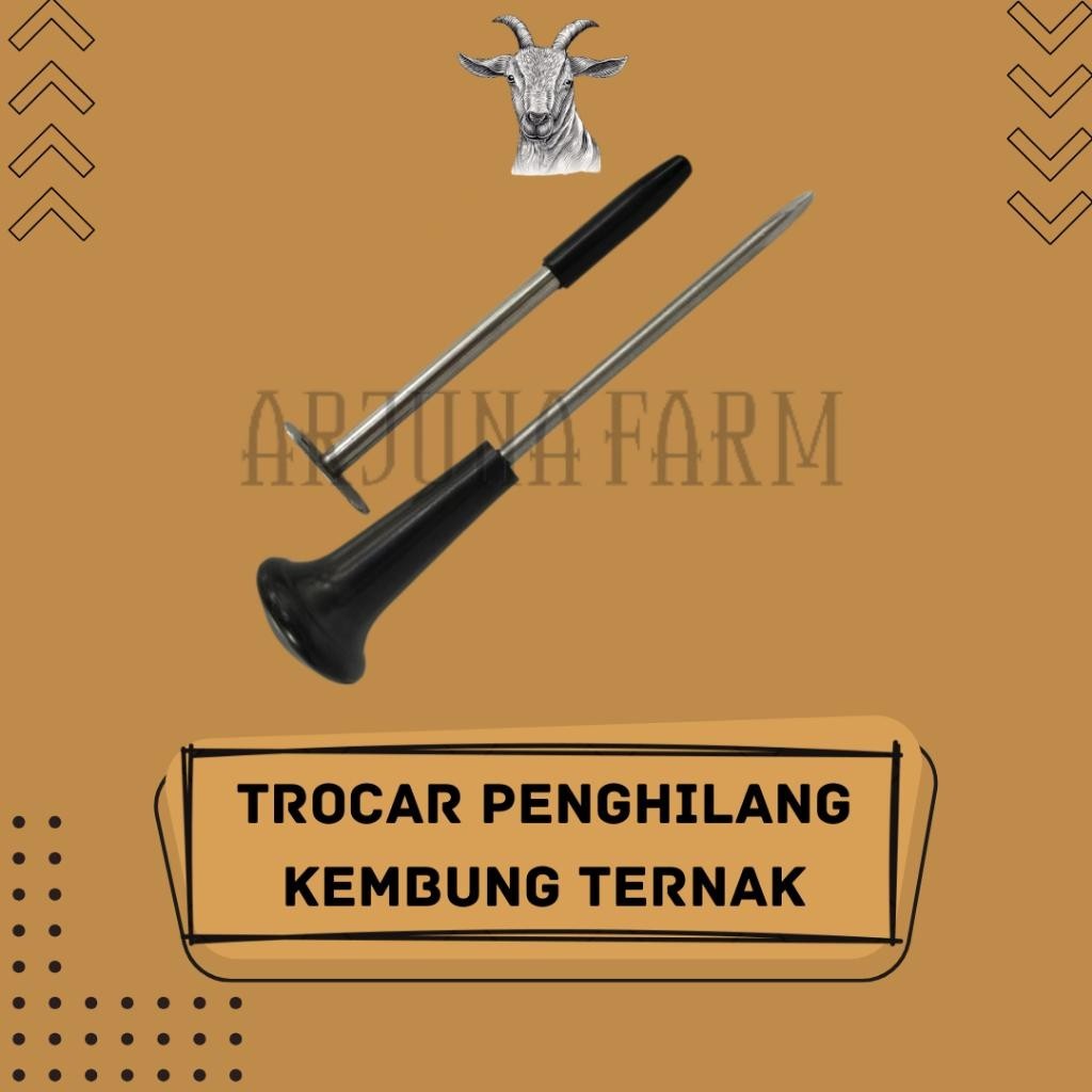 Large Size Cow Trocar Tool to Eliminate Bloating in Cattle, Calves ...