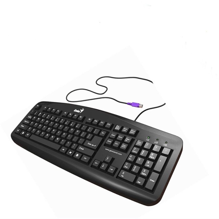 Genius KEYBOARD KB-110 PS2+MOUSE DX110 PS2 ORIGINAL | Shopee Philippines