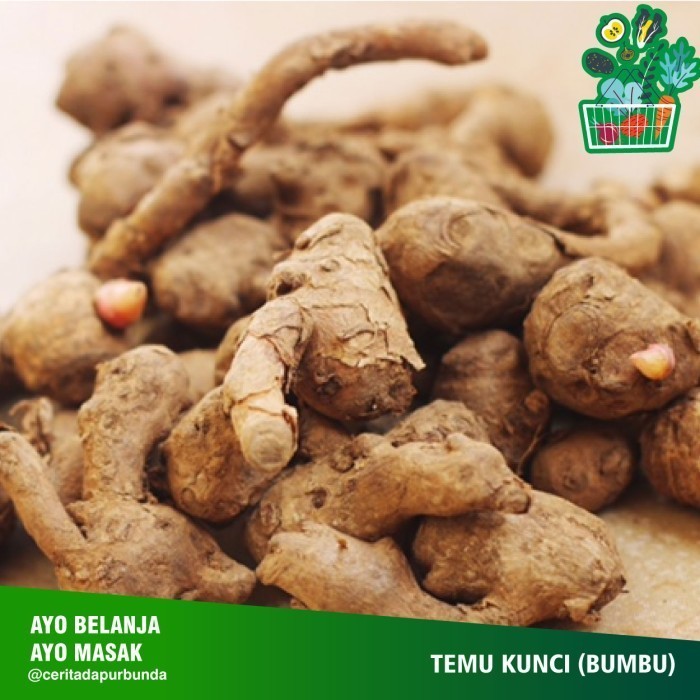 KEY TEMU per pack [ KITCHEN / SPICES ] | Shopee Philippines