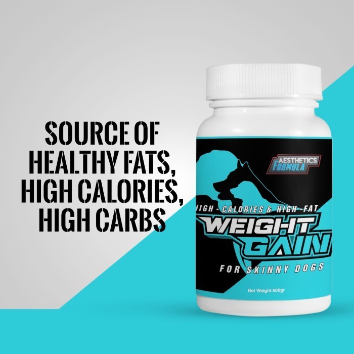 Lean Bully Weight Gain vitamin/Supplement | Shopee Philippines