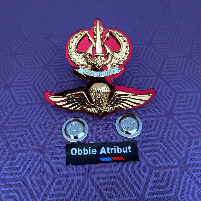 Wing Connects Paracute Pioneers | Pioneer wing | Paracute wing | Brimob ...