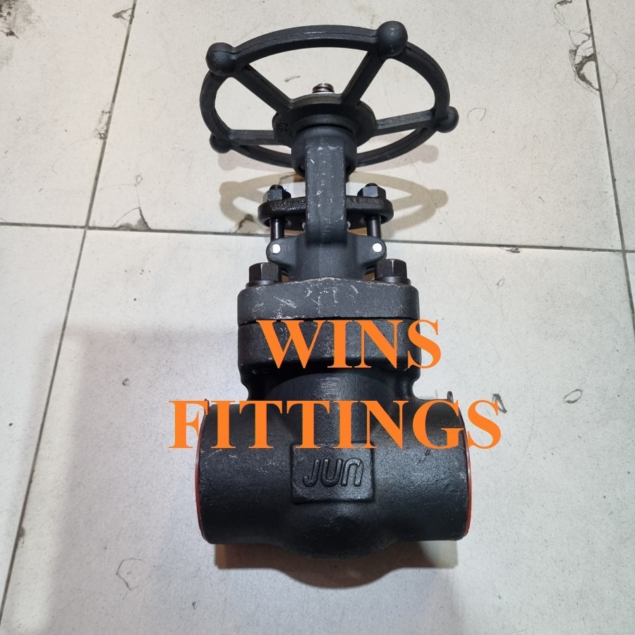 Globe Valve 800 1/2" Welding SW/drat NPT Iron Carbon Steel A105 class ...
