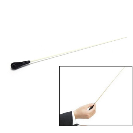 Stick Conductor Baten Plastic Handle Conductor Stick/ Stick conduction ...