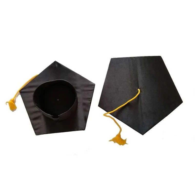 Adult Kindergarten Elementary School Middle School Graduation Toga Hat ...