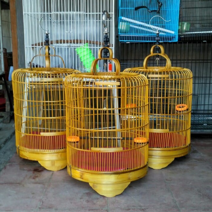 Round bird cage with a circle diameter of 41 cm | Shopee Philippines