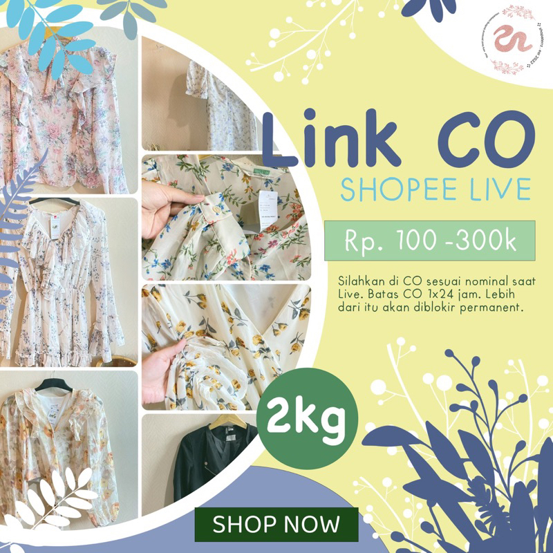 Shopee CO Link 100k - 300k (2kg +Admin) | Shopee Philippines