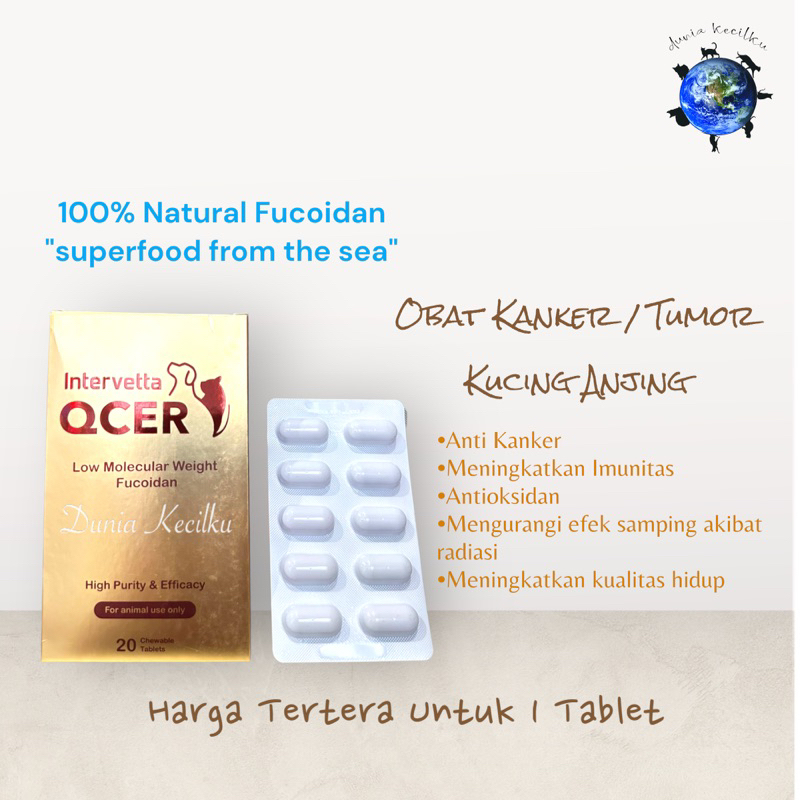 Intervetta Qcer Medicine For Cancer/Tumor Cat Dogs (1 Tablets) | Shopee Philippines
