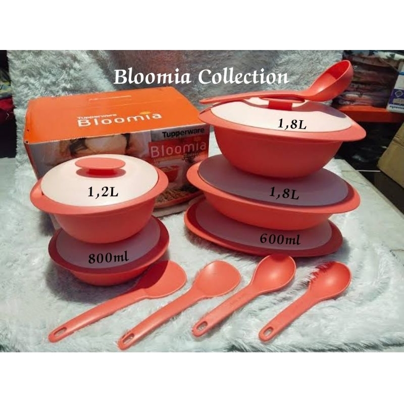 Bloomia Collection (5Pcs) | Shopee Philippines