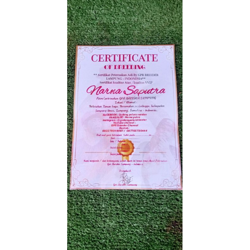 Certificate OF BREEDING GPR BREEDER | Shopee Philippines