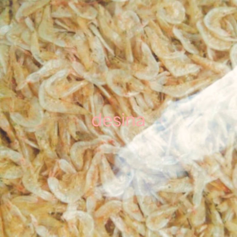 Super Fresh Shrimp rebon (Original Fresh) 1kg | Shopee Philippines