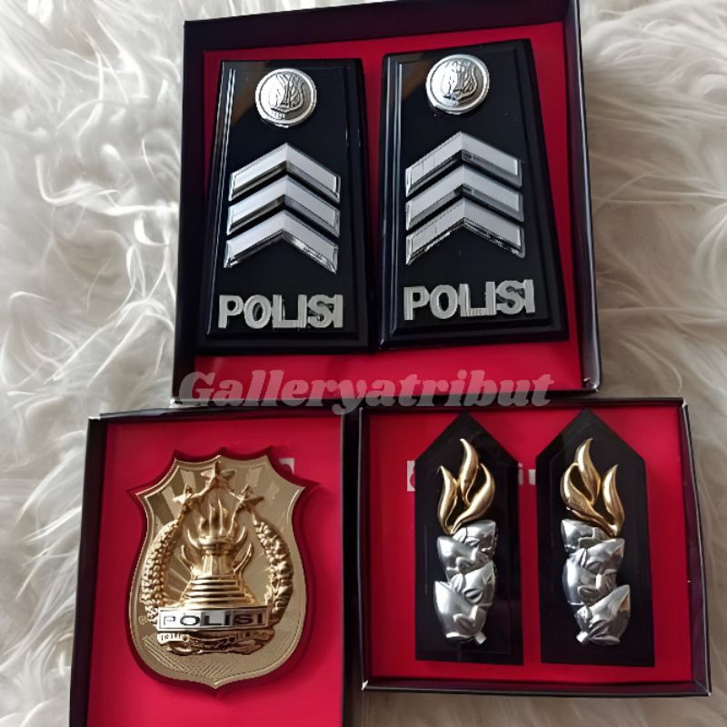 PDH police brigadier rank package model'pul mika | Shopee Philippines