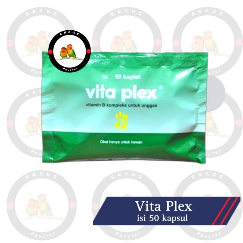 Vitaplex vitamin b poultry complex contains 50 caplets | Shopee Philippines