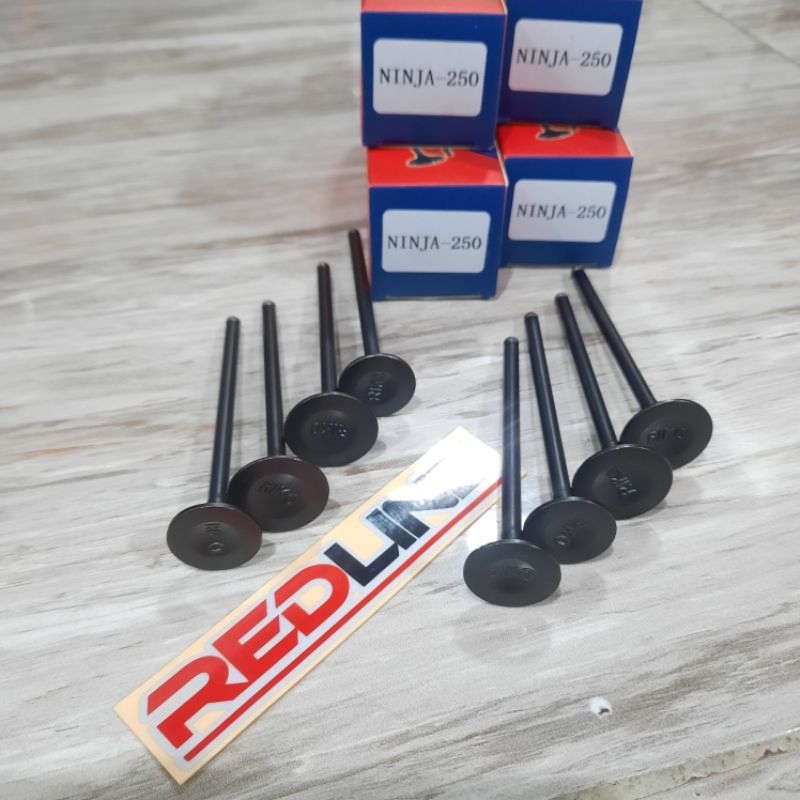 KAWASKI NINJA 250 DOUBLE PISTON RIKO PART VALVE SPARE PARTSRedline ...