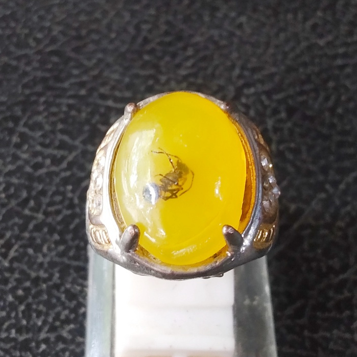 Ant Katilayu Amber Agate Ring | Shopee Philippines