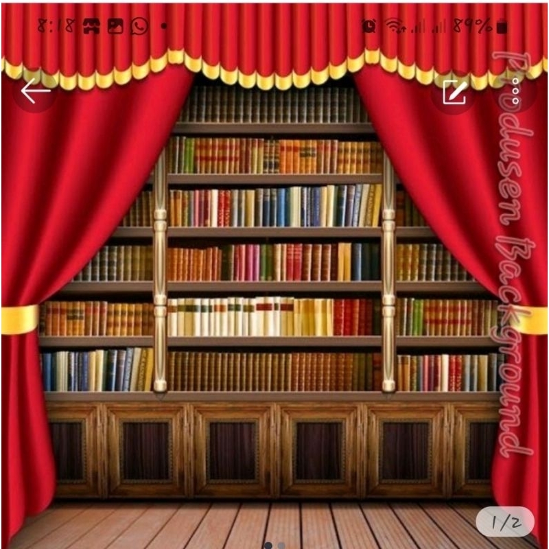 Fabric 3x2,5m Photo Background/ Backdrop/ Bookshelf Graduation Photo ...