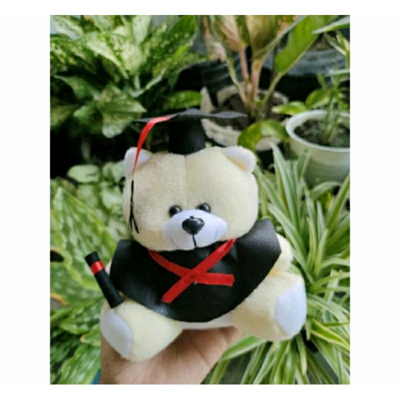 Graduation Doll With Hat And TOGA UK 15CM | Shopee Philippines