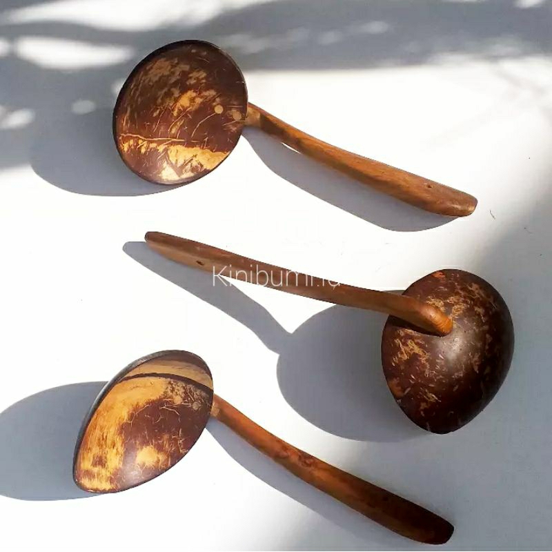 Coconut Shell Shell Wooden Vegetable Spoon Wooden Spatula Spatula ...