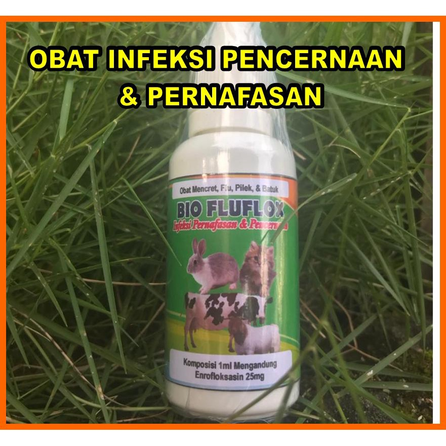 Bio FLUFOX Medicine, Respiratory Infection Medicine for Animals, Cough ...