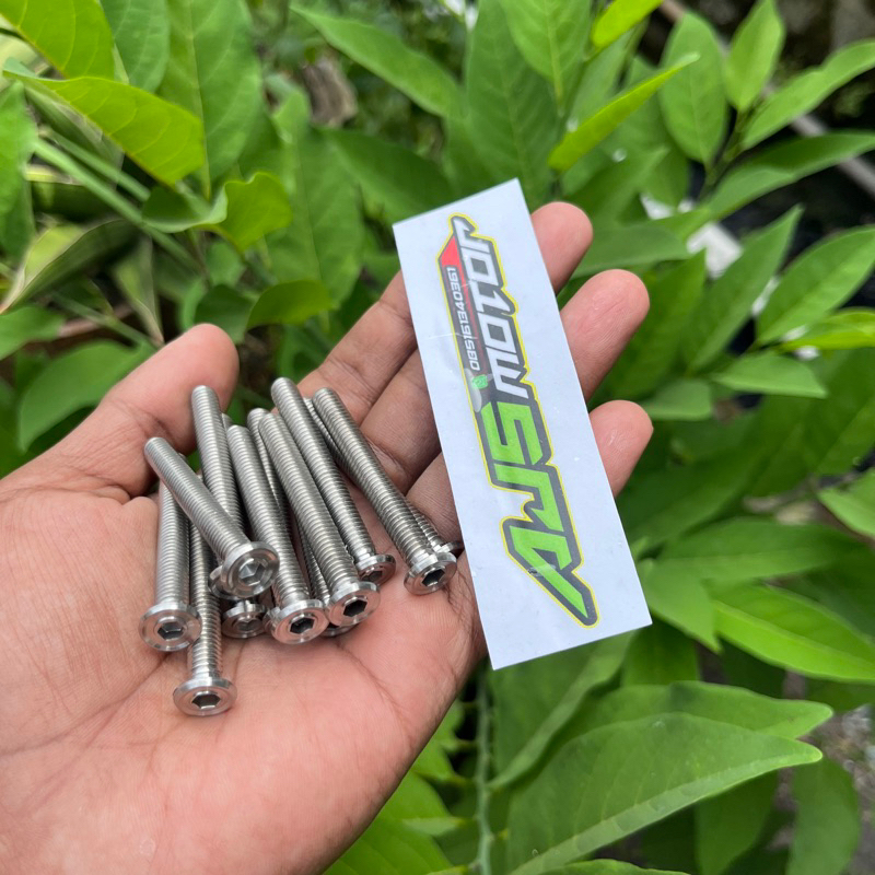 Right and left crankcase bolts, clutch tub bolts and magnetic tubs, CB ...