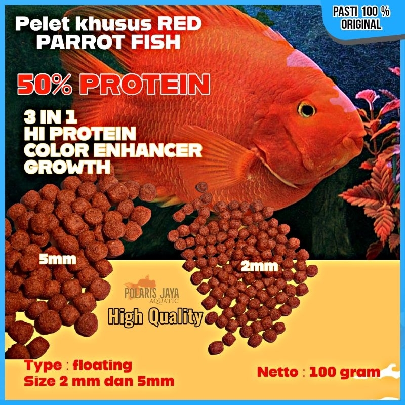 Red PARROT BLOOD RED FLOATING FISH FEED PELLETS 100GR 2MM 5MM | Shopee Philippines