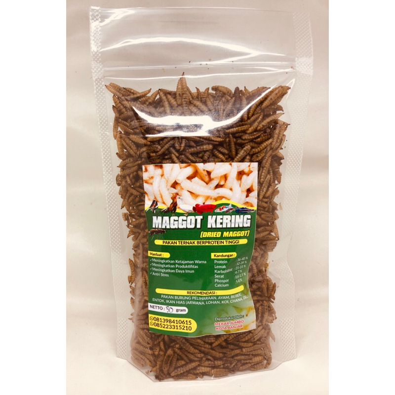 Dry bsf maggot (dried maggot) | Shopee Philippines