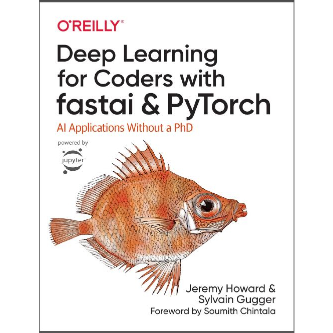Deep Learning for Coders With Fasting and Pytorch AI Applications Without a PhD | Shopee Philippines