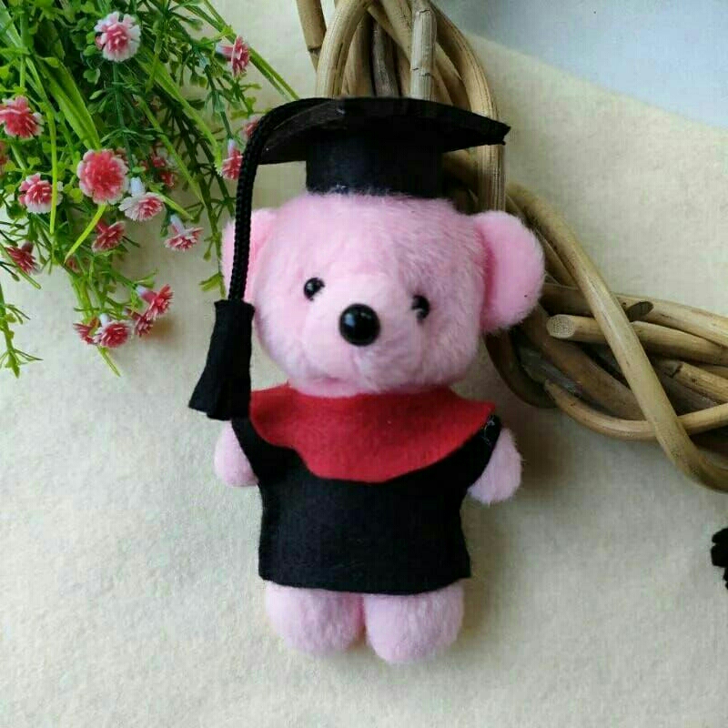 Small HAPPY GRADUATION Doll/Small Teddy Doll/Small Teddy BEAR Doll ...