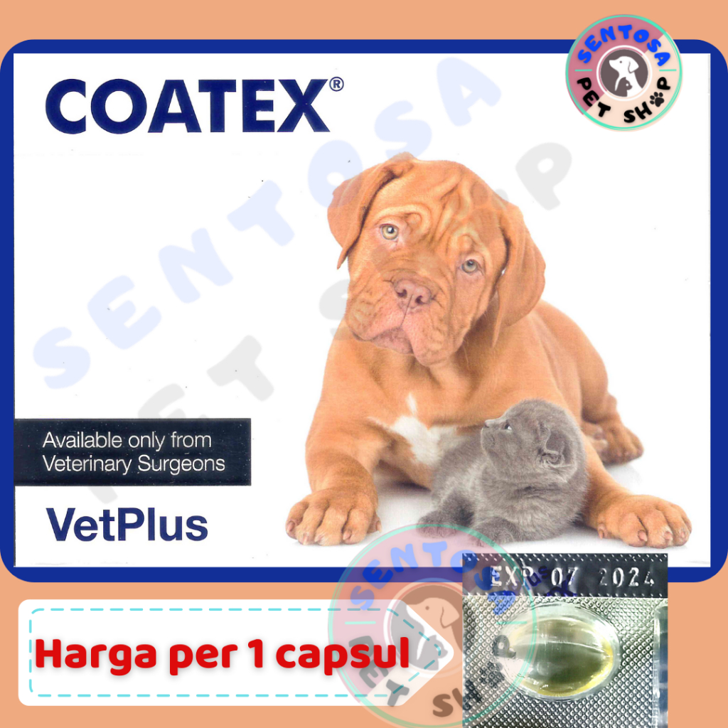 Coatex Efa Skin and Fur Vitamin Capsules for Dogs and Cats (1 capsule ...
